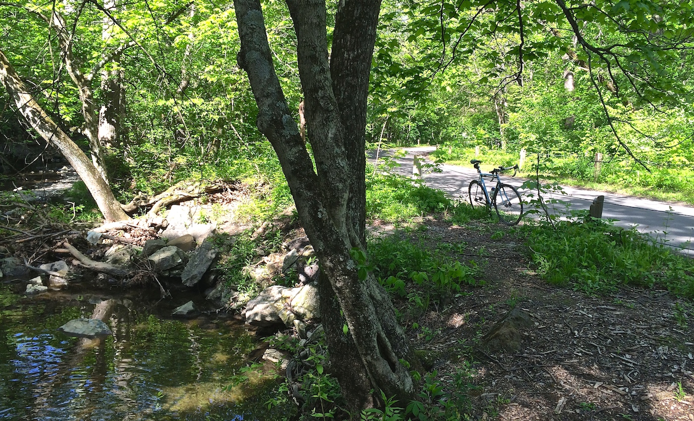 Save 50 Hours Setting up Your Jekyll Blog — Will Koehler